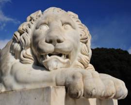 Lewis Pin (block positioning / lifting tool pins) Priced per unit ...